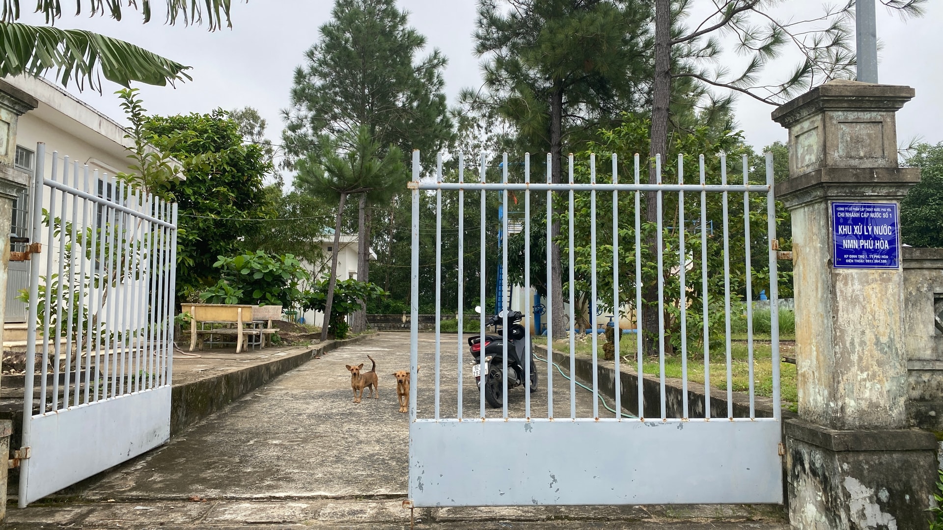 Số điện thoại cskh vnpost 2024 giải đáp mọi thắc mắc hỗ trợ 24/7